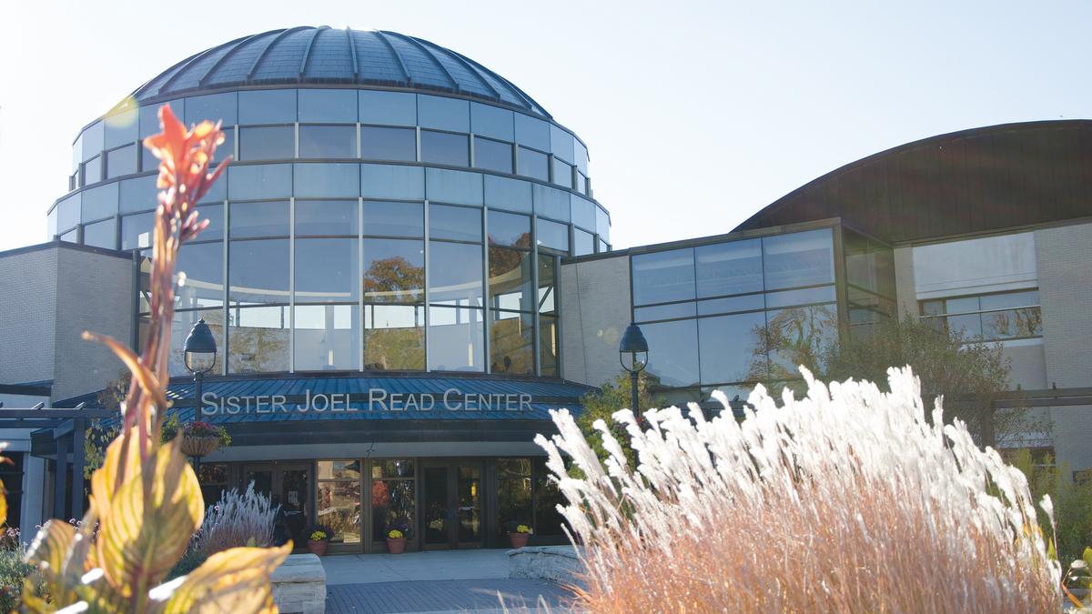 Alverno College launches new health education and kinesiology programs ...