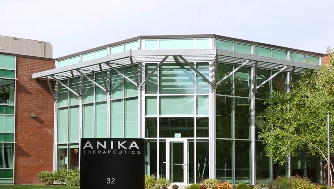‘Sleepy’ Bedford biotech Anika Therapeutics wakes up investors with ...