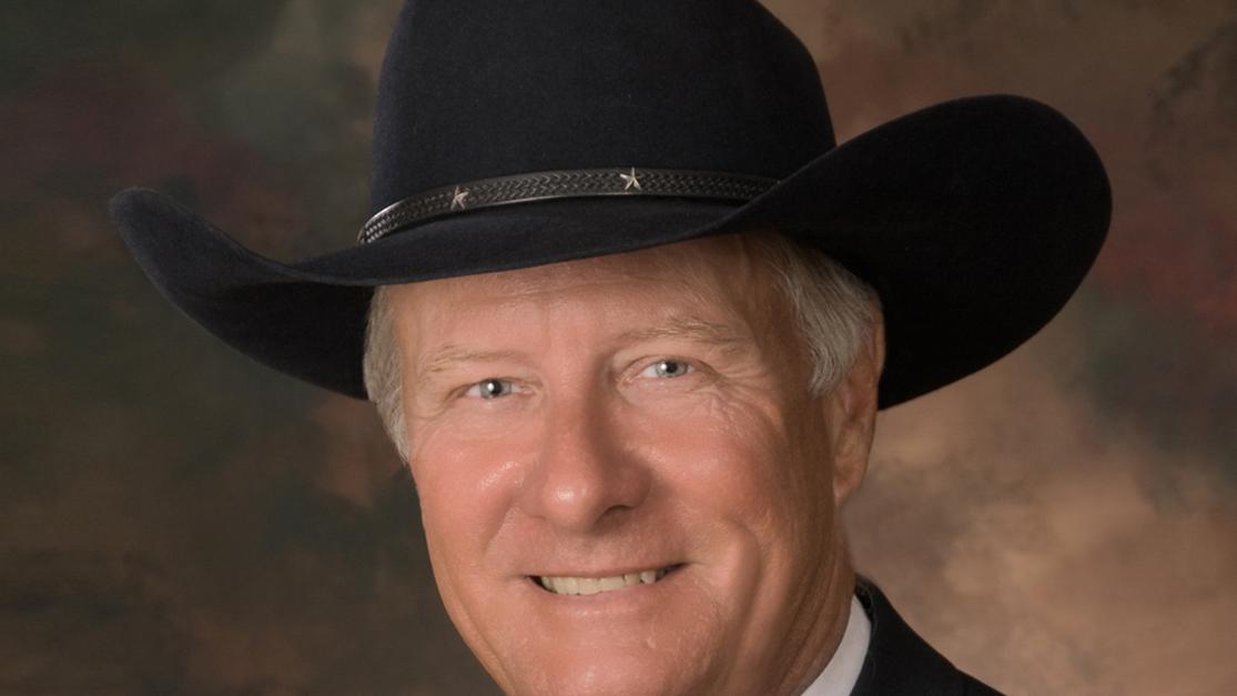 Rodeo Houston names chairman-elect, six new vice presidents - Houston ...