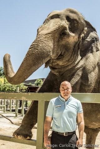Big crowds pushing San Antonio Zoo toward bigger ideas, including a ...