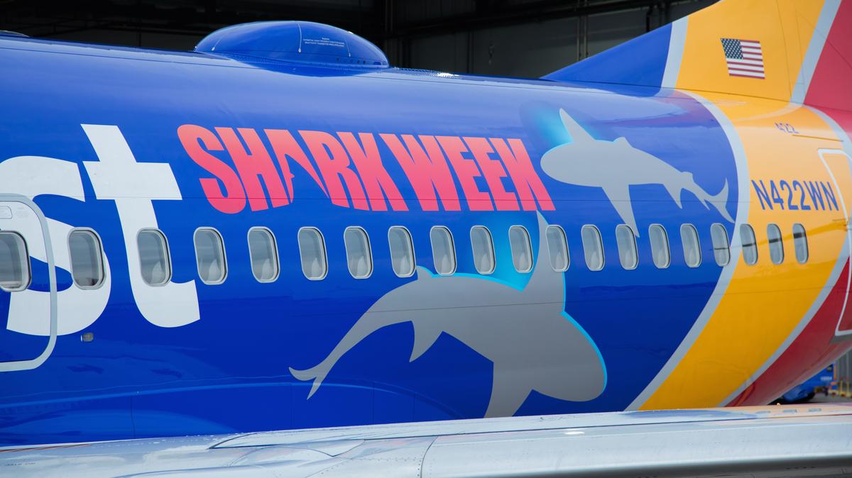 Sharks on a Plane: Southwest unveils 'Shark Week' themed aircraft ...