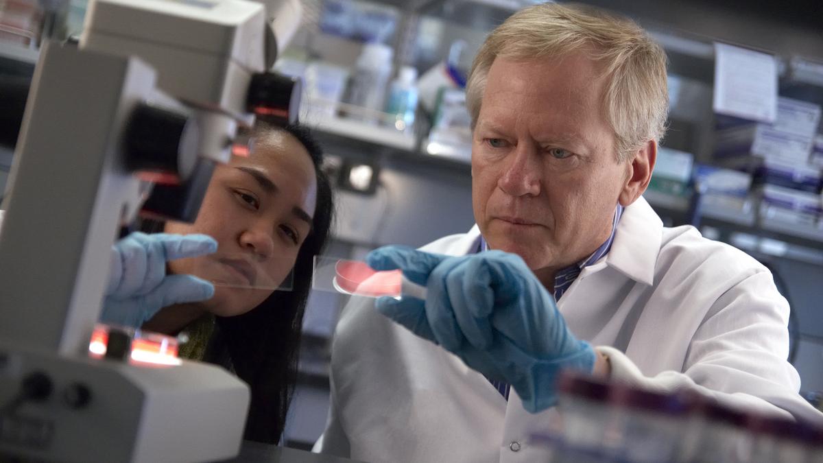 TGen's receives patent on 1-hour MRSA superbug test - Phoenix Business ...